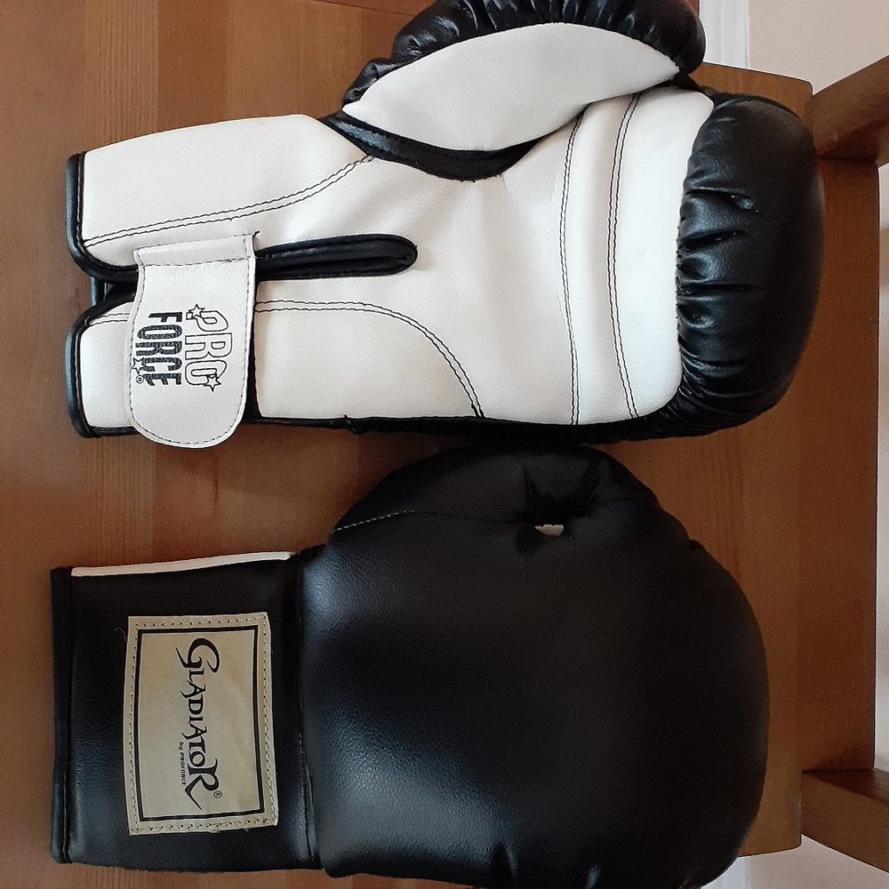 Boxing Gloves Black And White Pro Force Gladiator Kic… - Gem